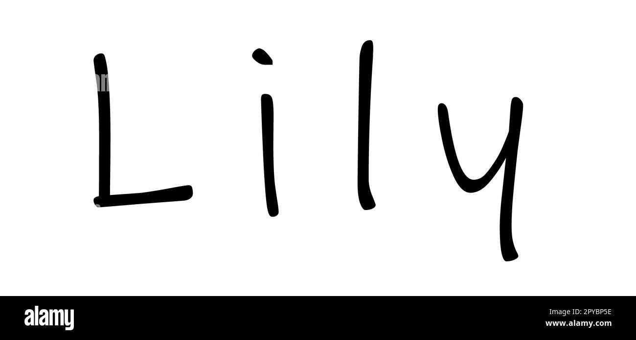 Lily Name Designs