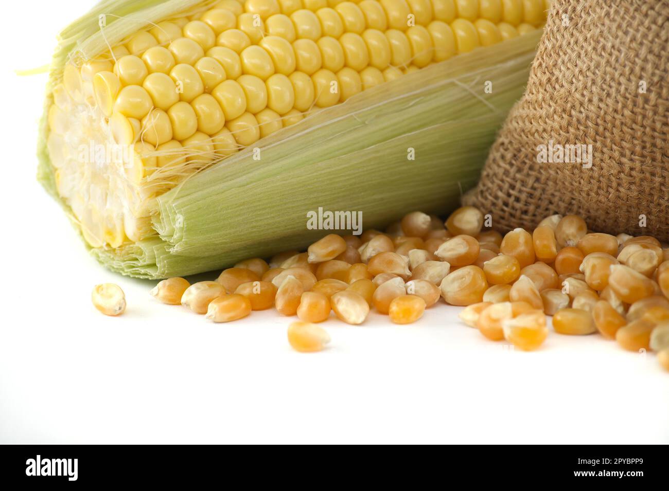 Corn kernels and fresh maize or corn on the cob Stock Photo - Alamy