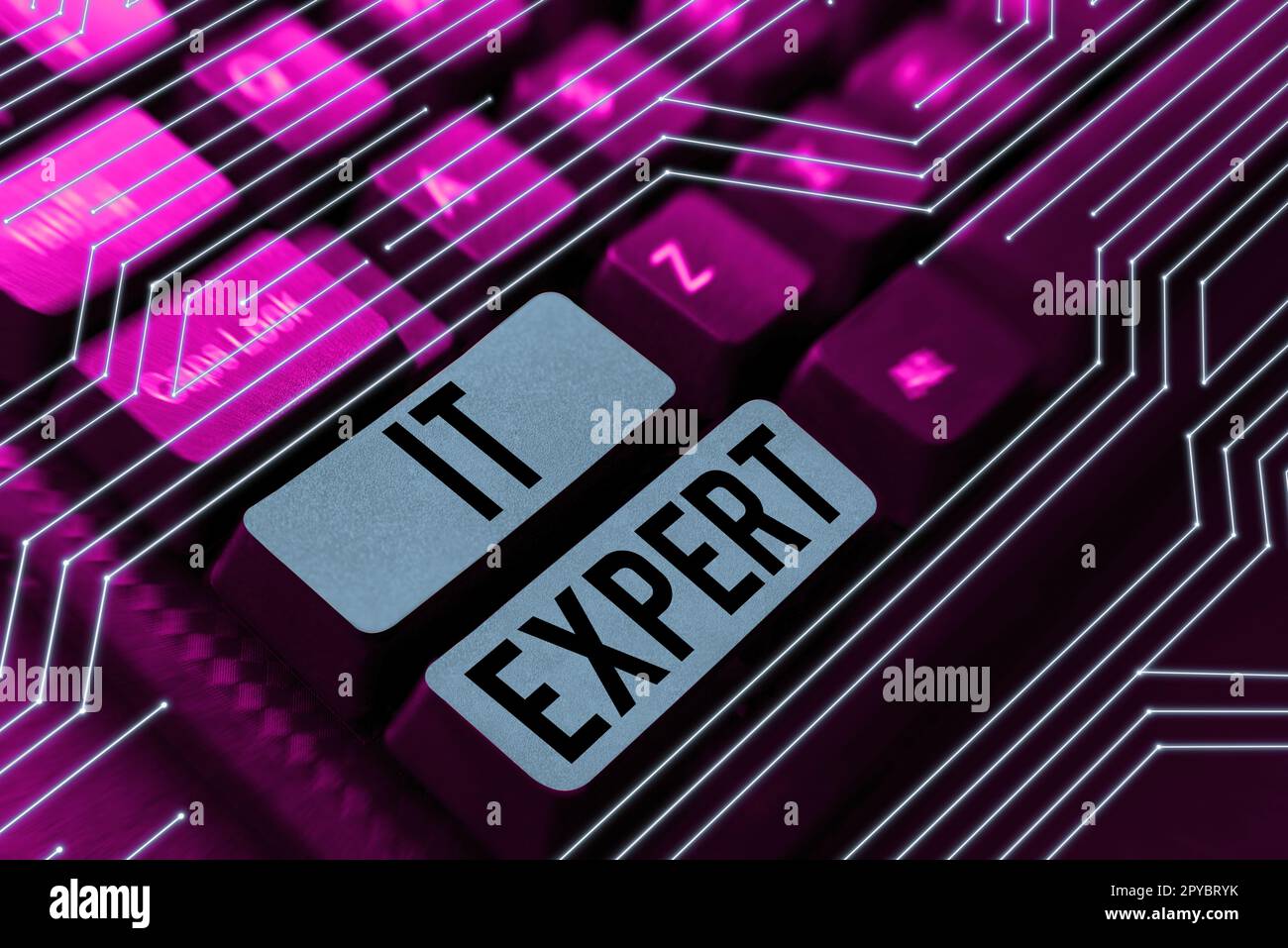 Conceptual caption It Expert. Word for person with a high level of ...