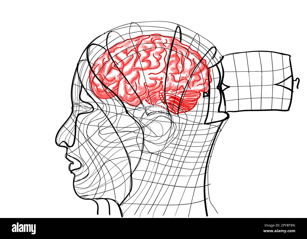 Brain shaped Cut Out Stock Images & Pictures - Alamy