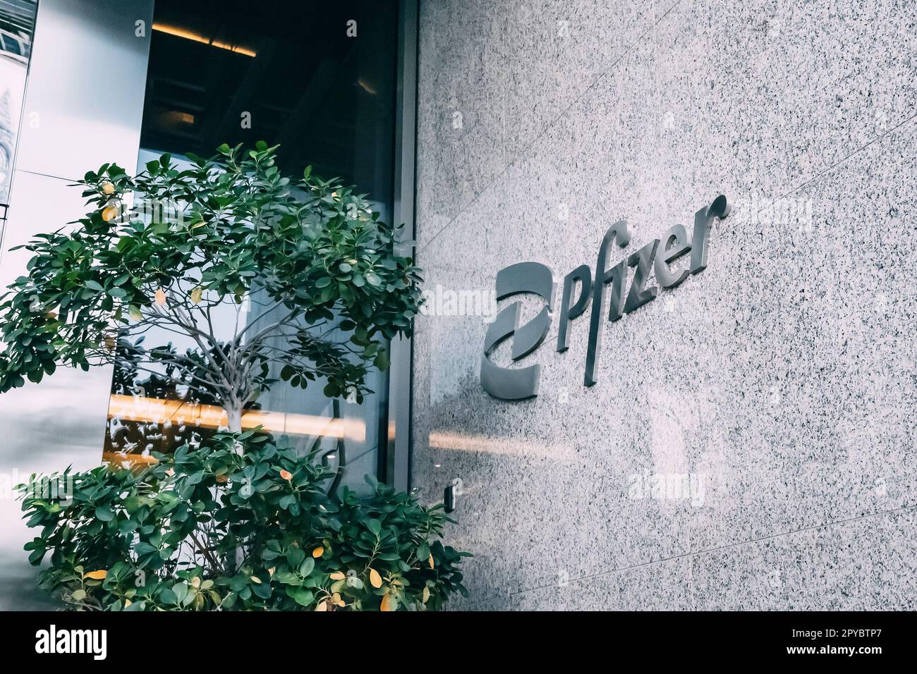 19 January 2023, Dubai, UAE: Pfizer sign at the entrance to ...