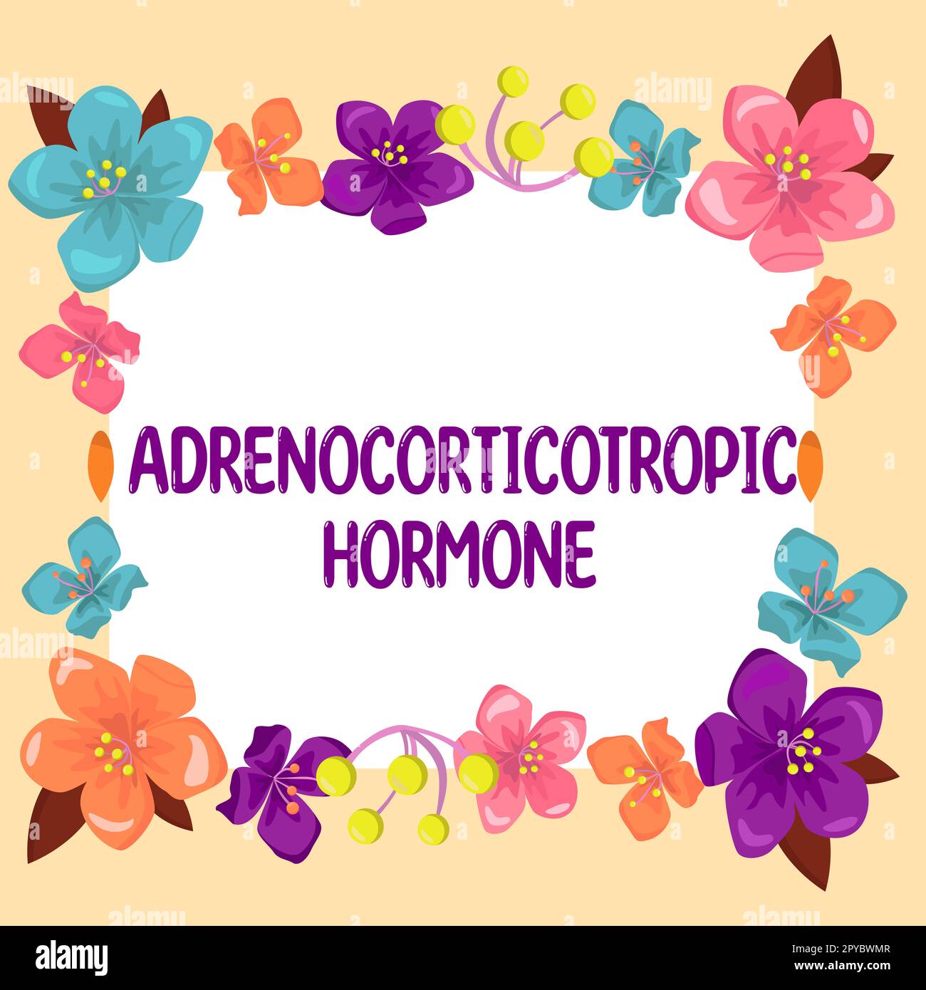 Text sign showing Adrenocorticotropic Hormone. Internet Concept hormone ... Text sign showing Adrenocorticotropic Hormone. Internet Concept hormone ...