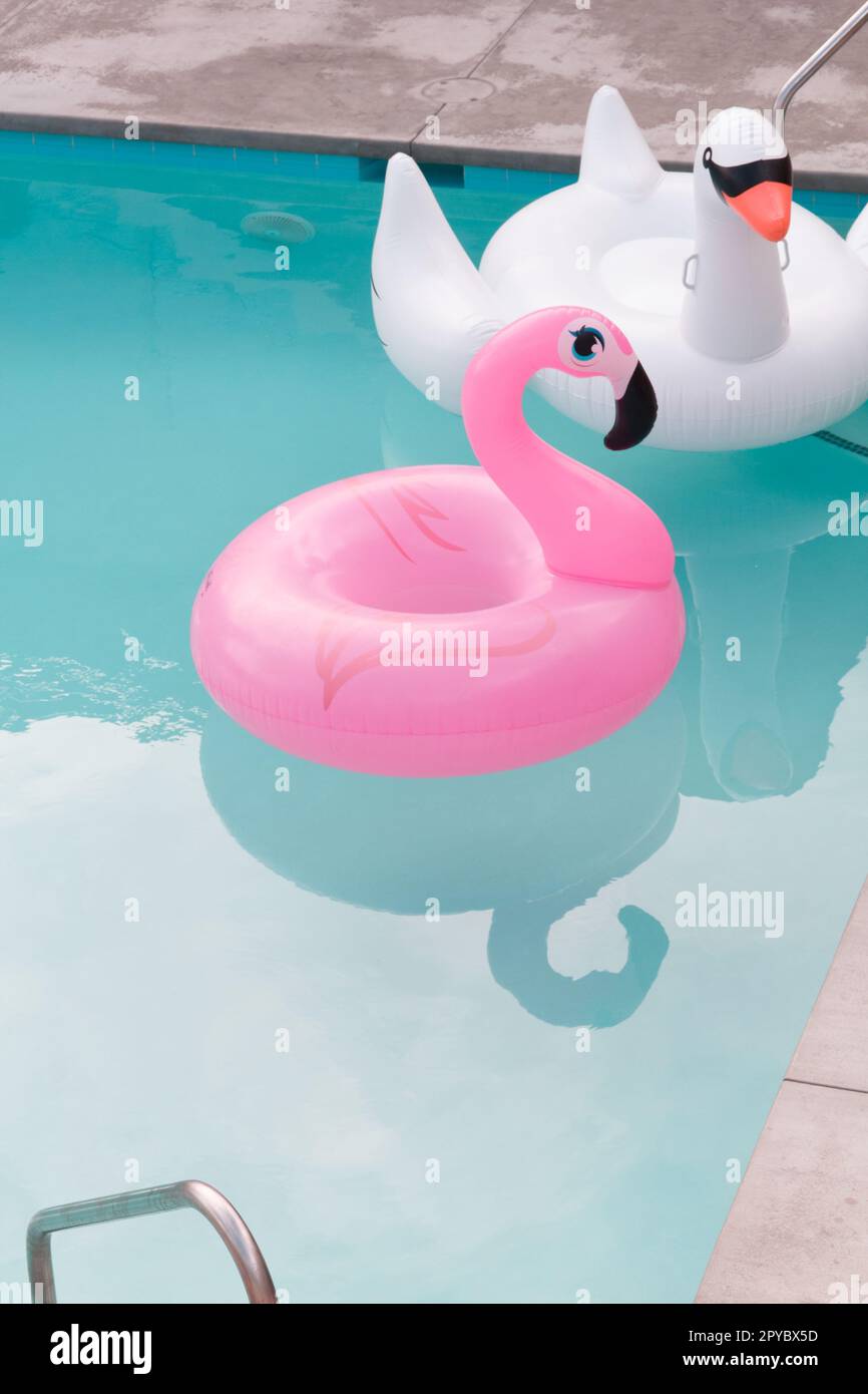 Pink Flamingo and Swan Pool Floatie in a Swimming Pool At Palm Springs ...