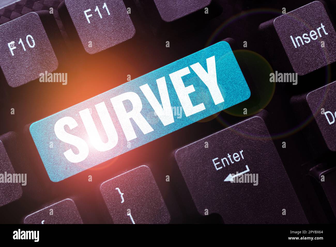 Conceptual caption Survey. Business overview look closely at or examine ...