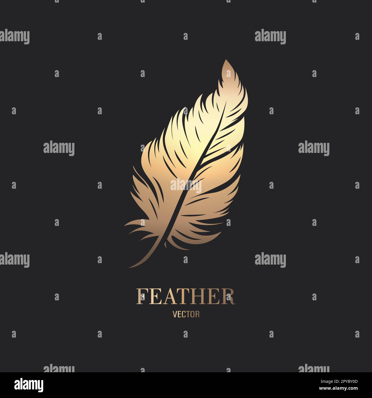Vector Fluffy Golden Color Feather Logo Icon, Silhouette Feather ...