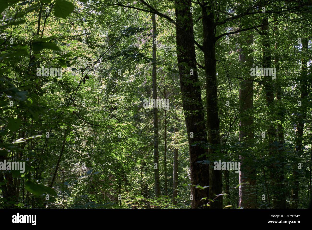 Midday landscape hi-res stock photography and images - Alamy