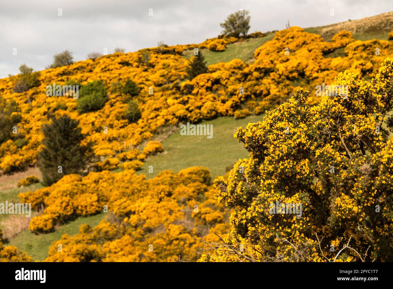 Millport Island West of Scotland Landmarks May 1st 2023 Stock Photo - Alamy
