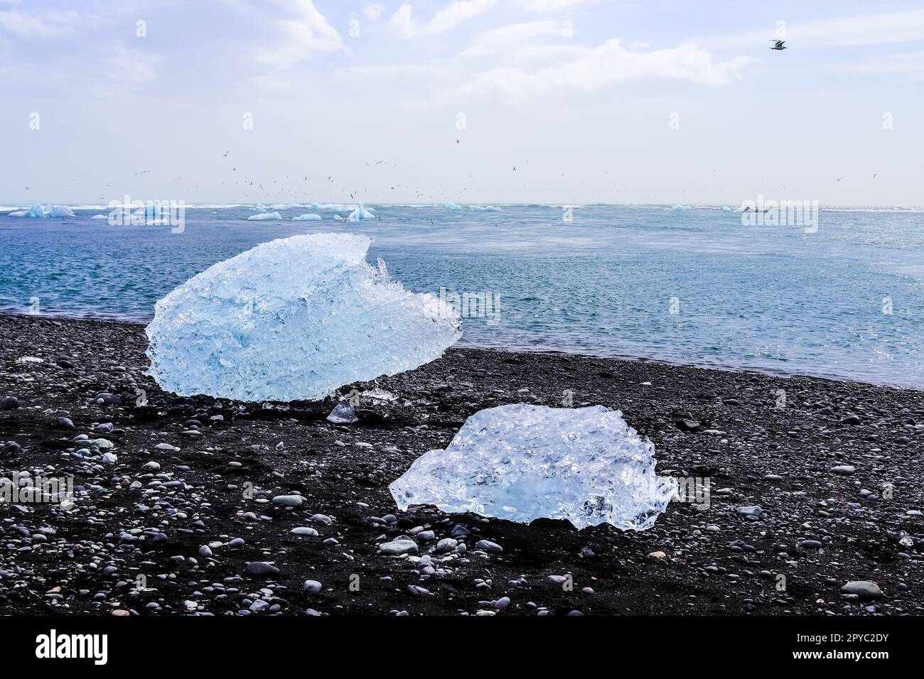Diamond Beach in Iceland with blue icebergs melting on black sand and ...