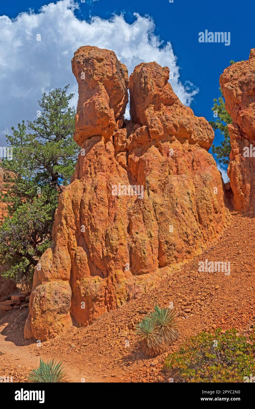 Siltstone hi-res stock photography and images - Alamy