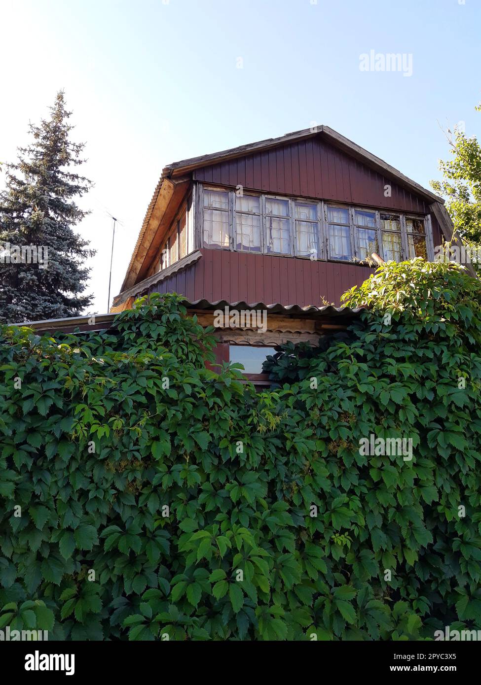 Country house and wild grapes Stock Photo - Alamy