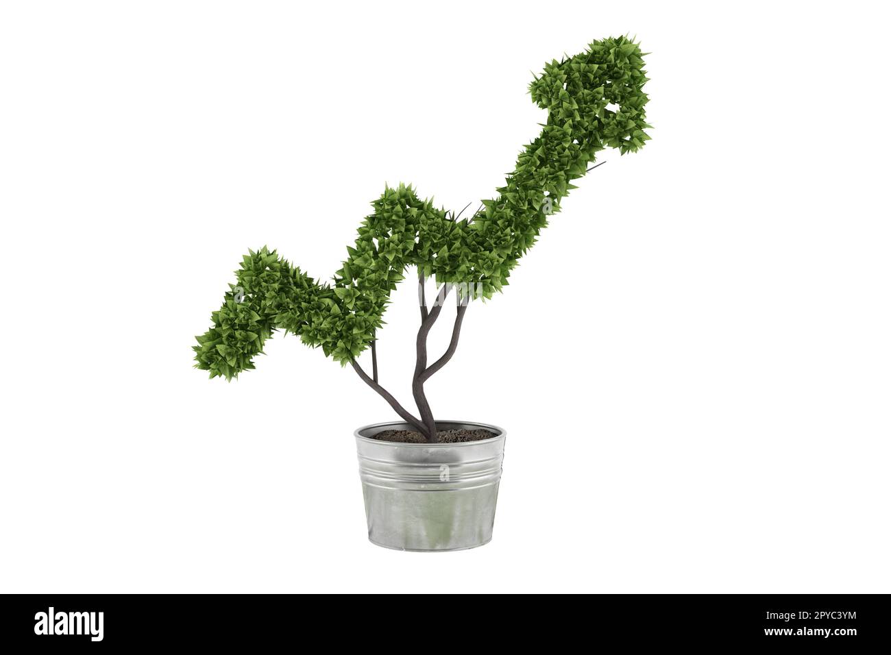 Plant in a pot cut in the shape of an arrow. concept of success and ...