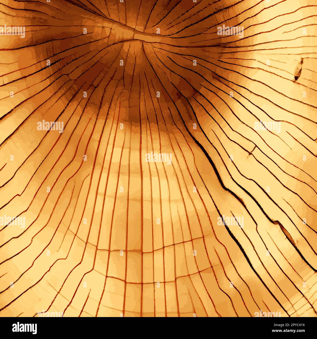 Realistic texture of the tallest green tree in the world, made in the ...