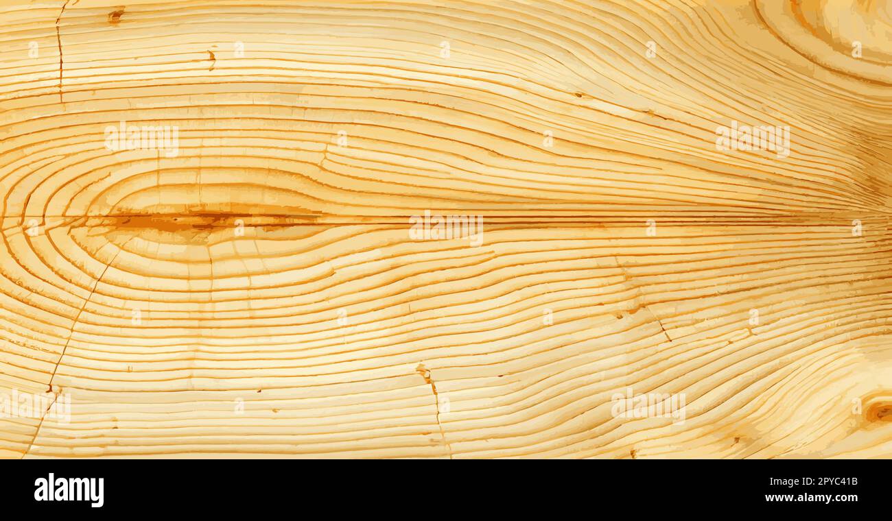 Realistic panoramic texture of the tallest green tree in the world ...