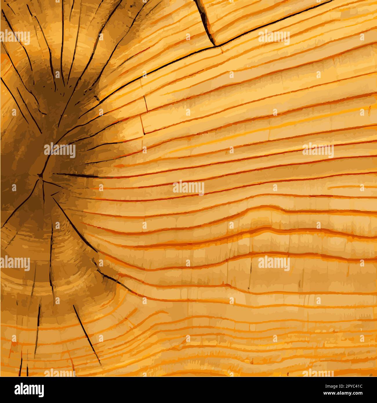 Realistic texture of the tallest green tree in the world, made in the ...