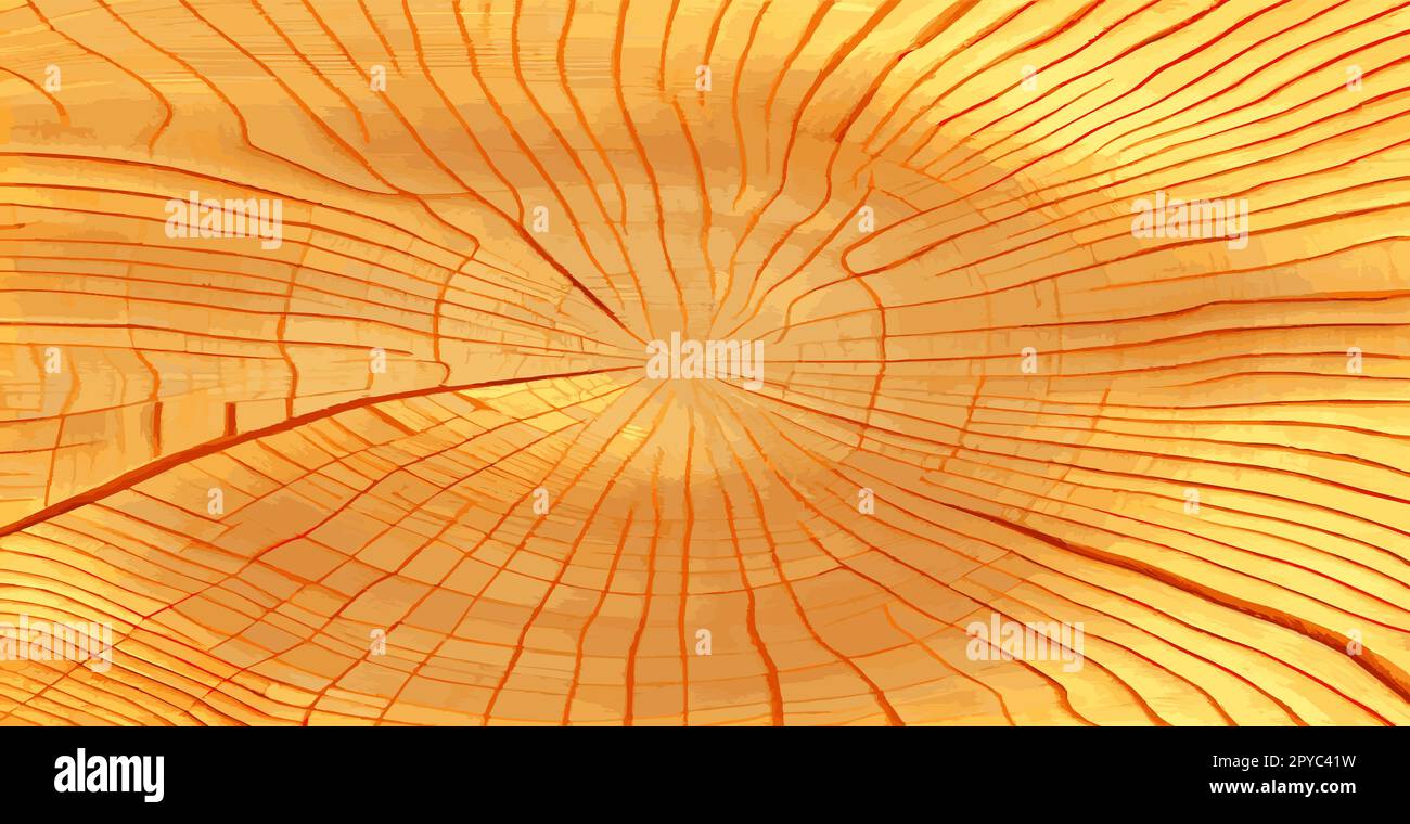 Realistic panoramic texture of the tallest green tree in the world ...