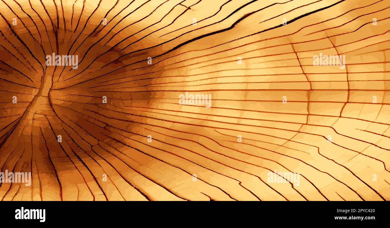 Realistic panoramic texture of the tallest green tree in the world ...