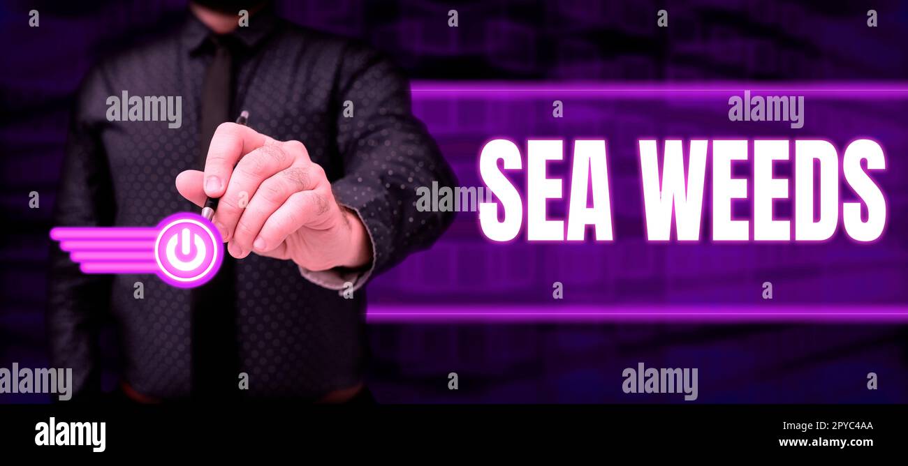 Writing displaying text Sea Weeds. Internet Concept Large algae growing ...