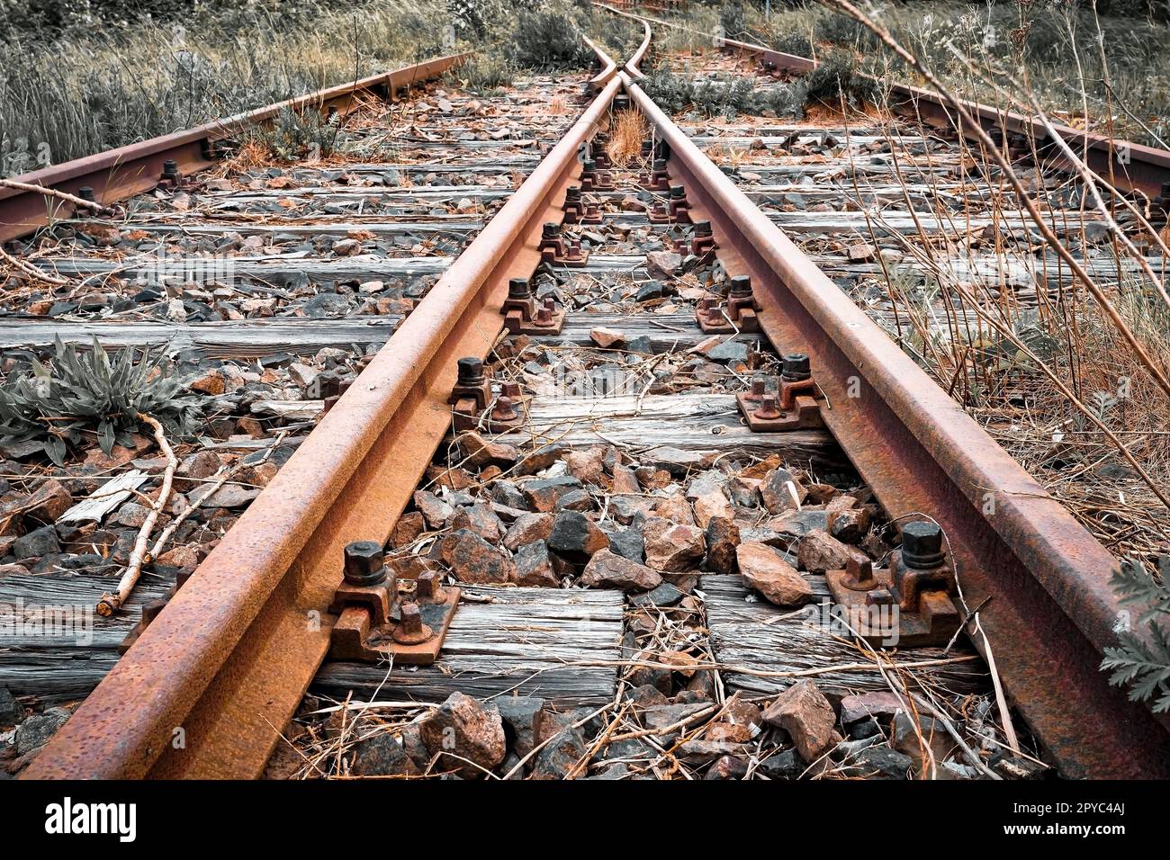 lost railroad track Stock Photo - Alamy