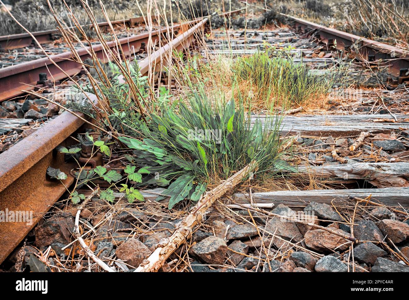lost railroad track Stock Photo - Alamy