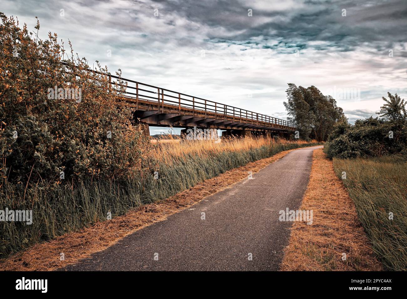 lost railroad track Stock Photo - Alamy