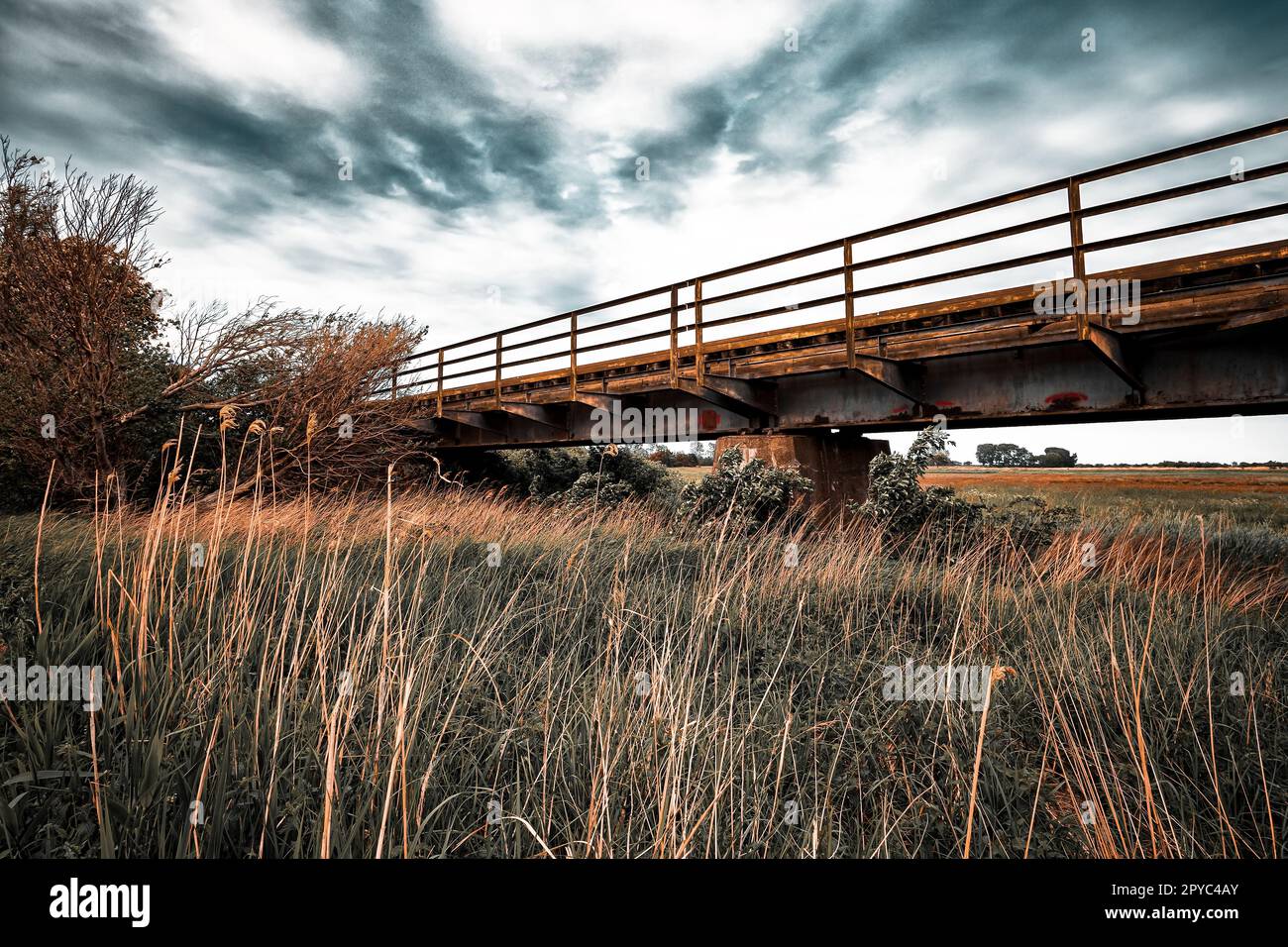 lost railroad track Stock Photo - Alamy