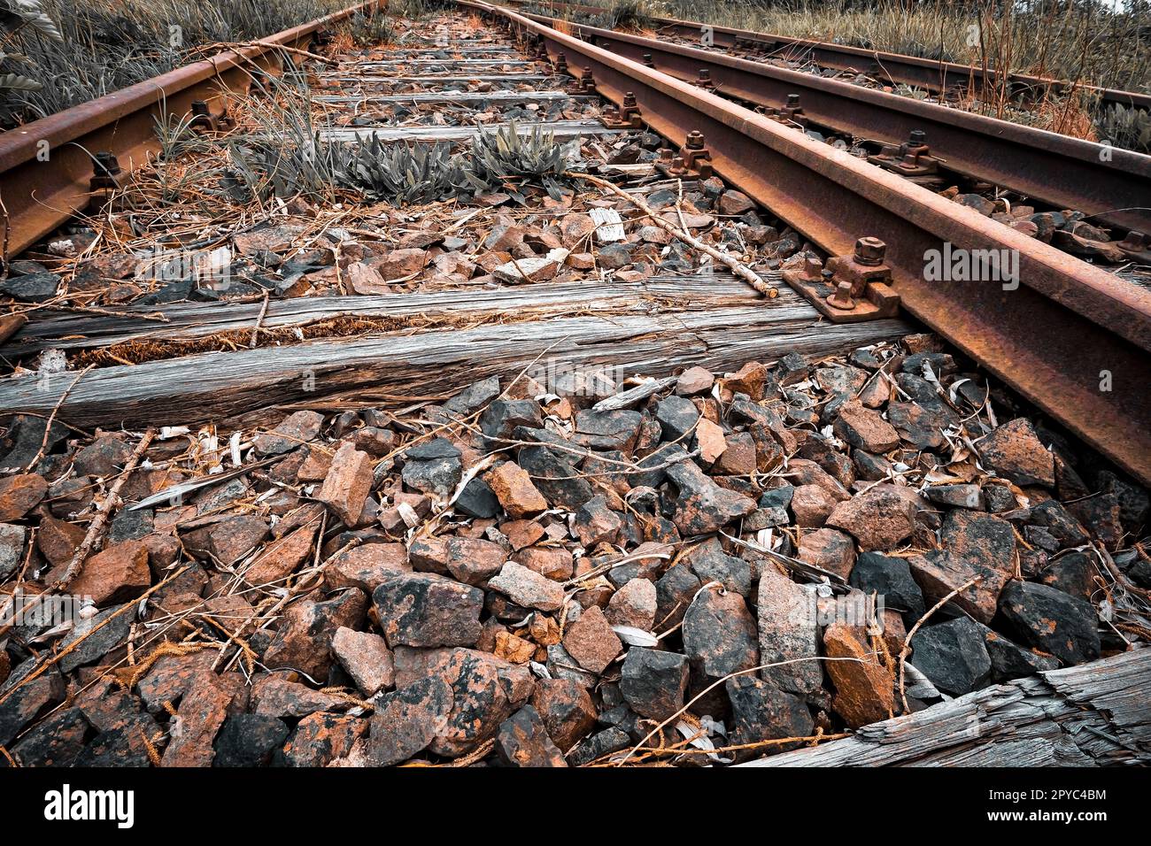 lost railroad track Stock Photo - Alamy