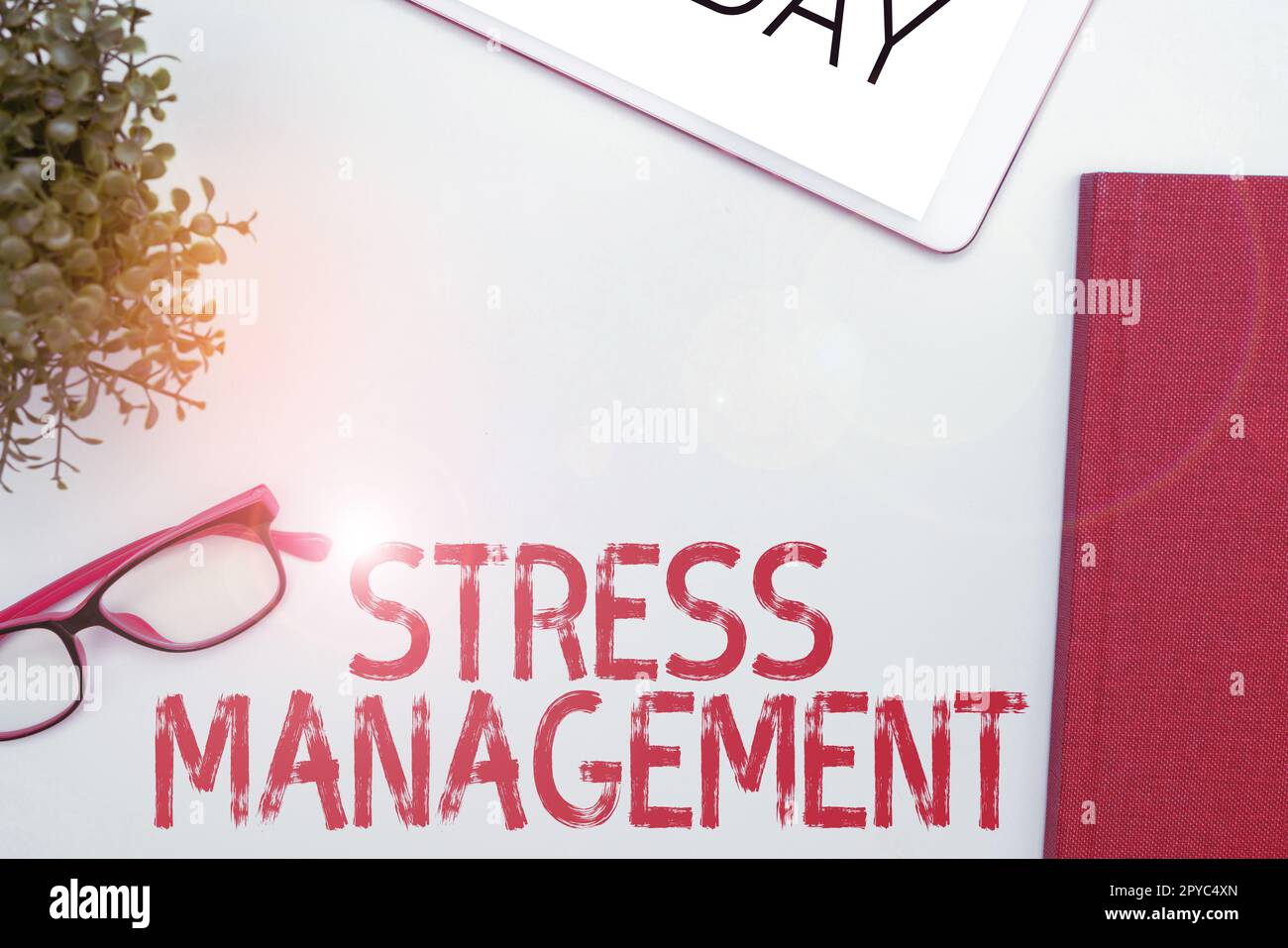 Text showing inspiration Stress Management. Internet Concept learning ...