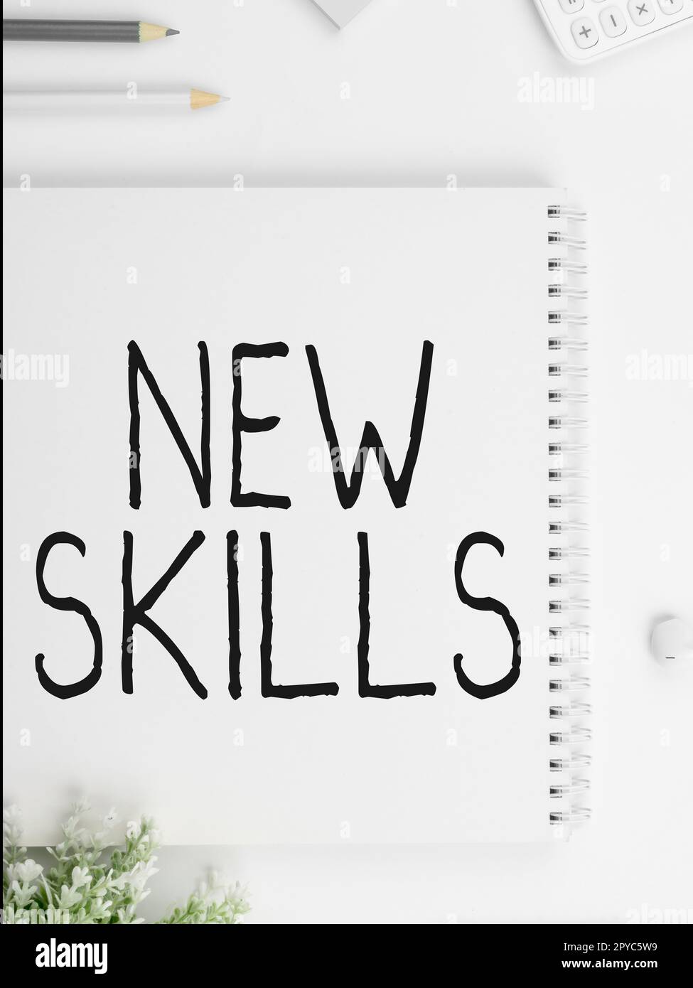 Text caption presenting New Skills. Business overview Recently Acquired ...