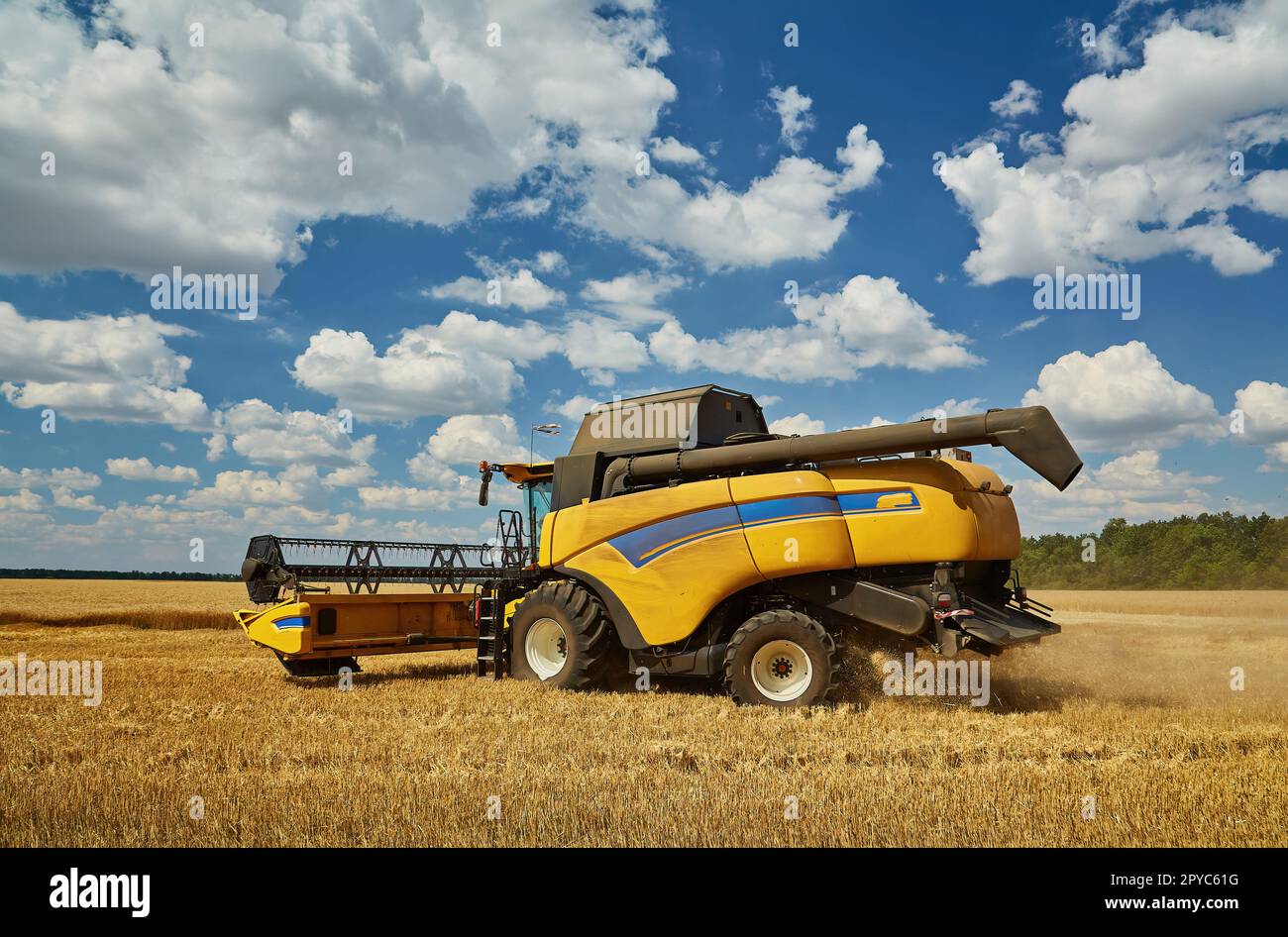 Combine Harvester Cutting Wheat, Summer Landscape of endless Fields ...