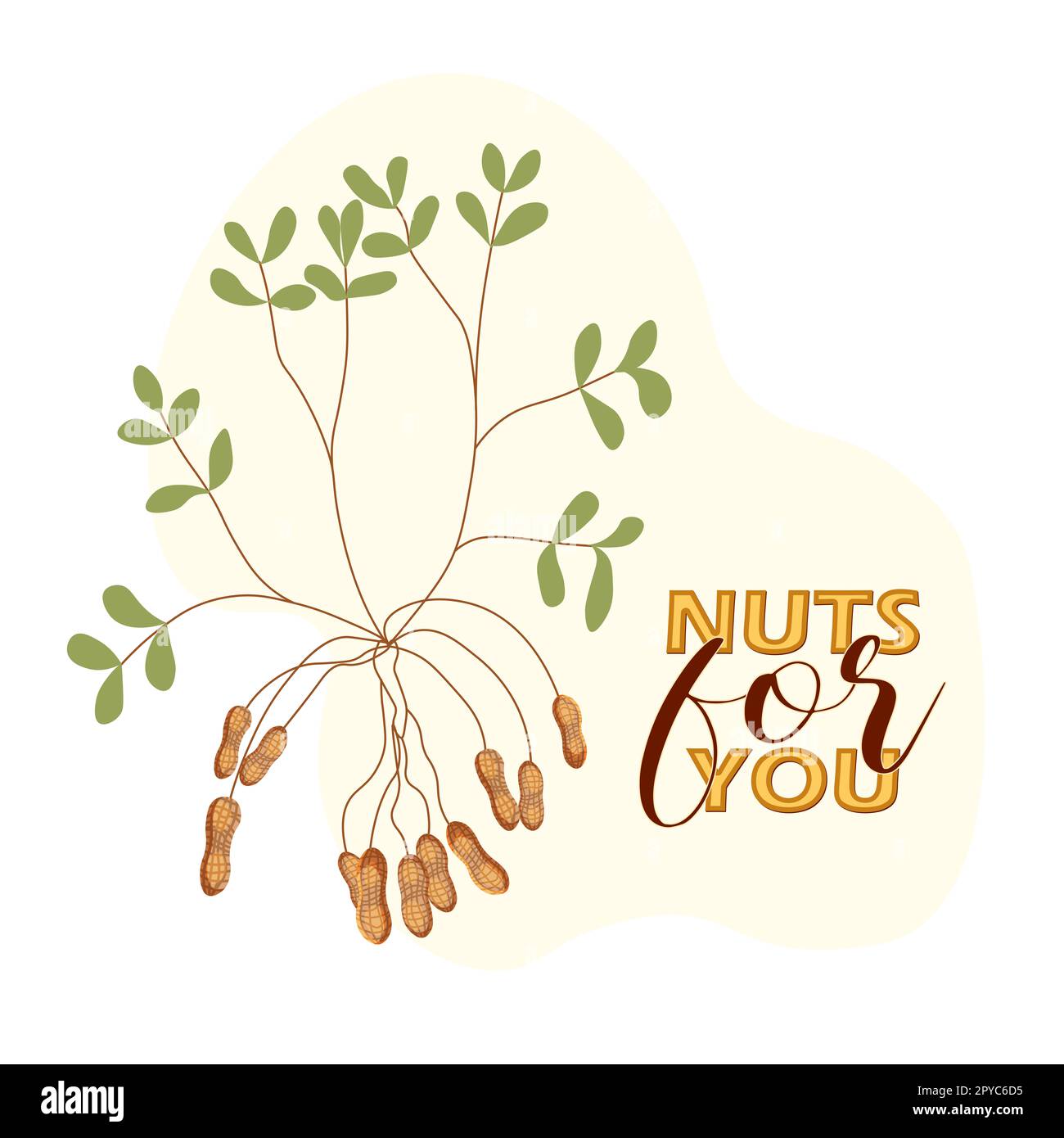 National Peanut Butter Day. Peanut bush. Nuts for you quote Stock Photo ...