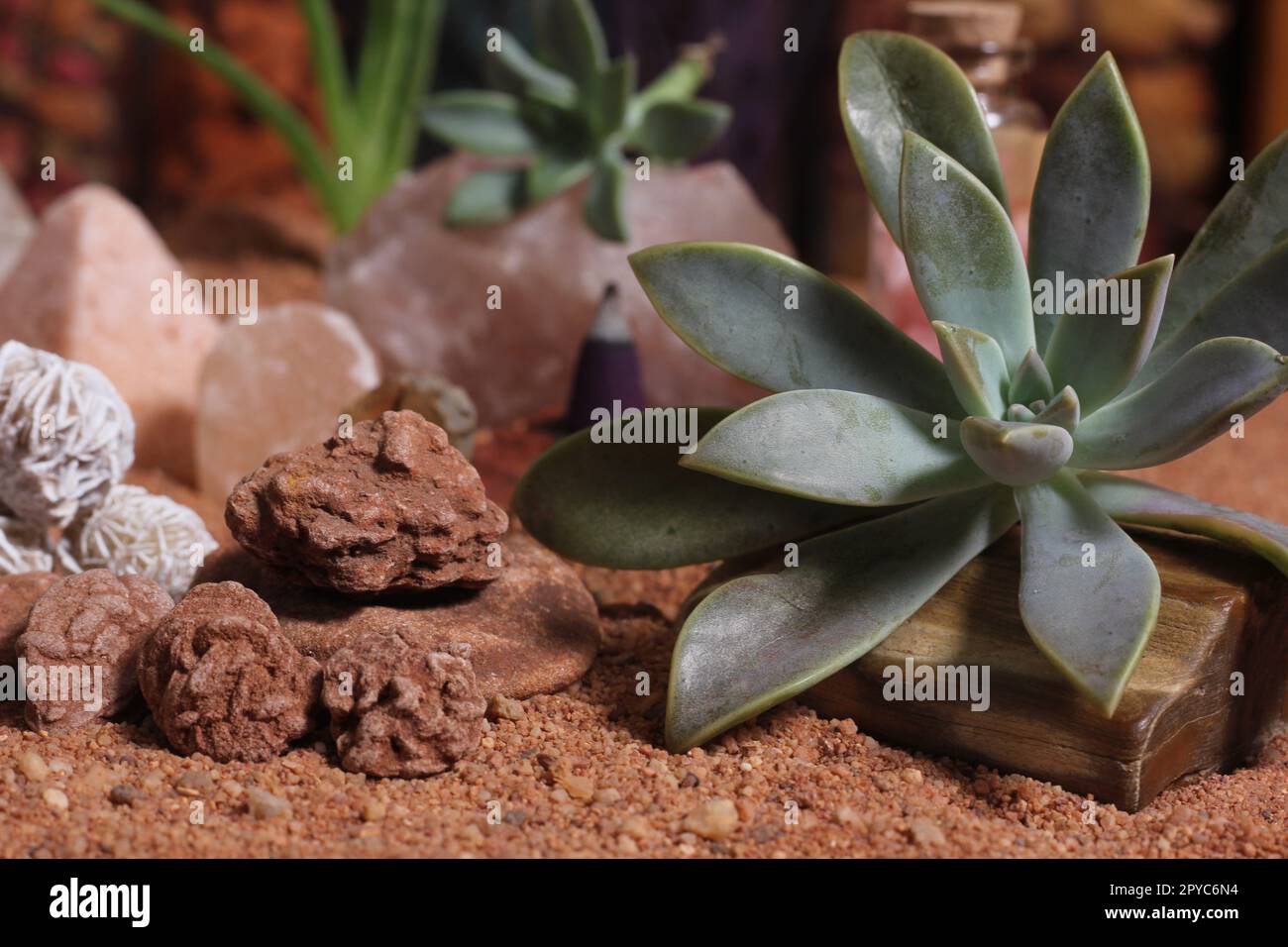 Desert Rose Rocks With Quartz Crystals on Australian Red Sand Stock ...