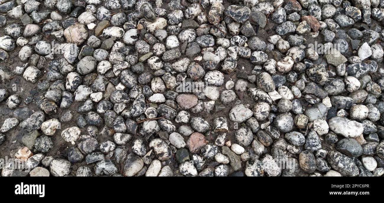 Paving stones made of round light stones similar to marble. Paved ...