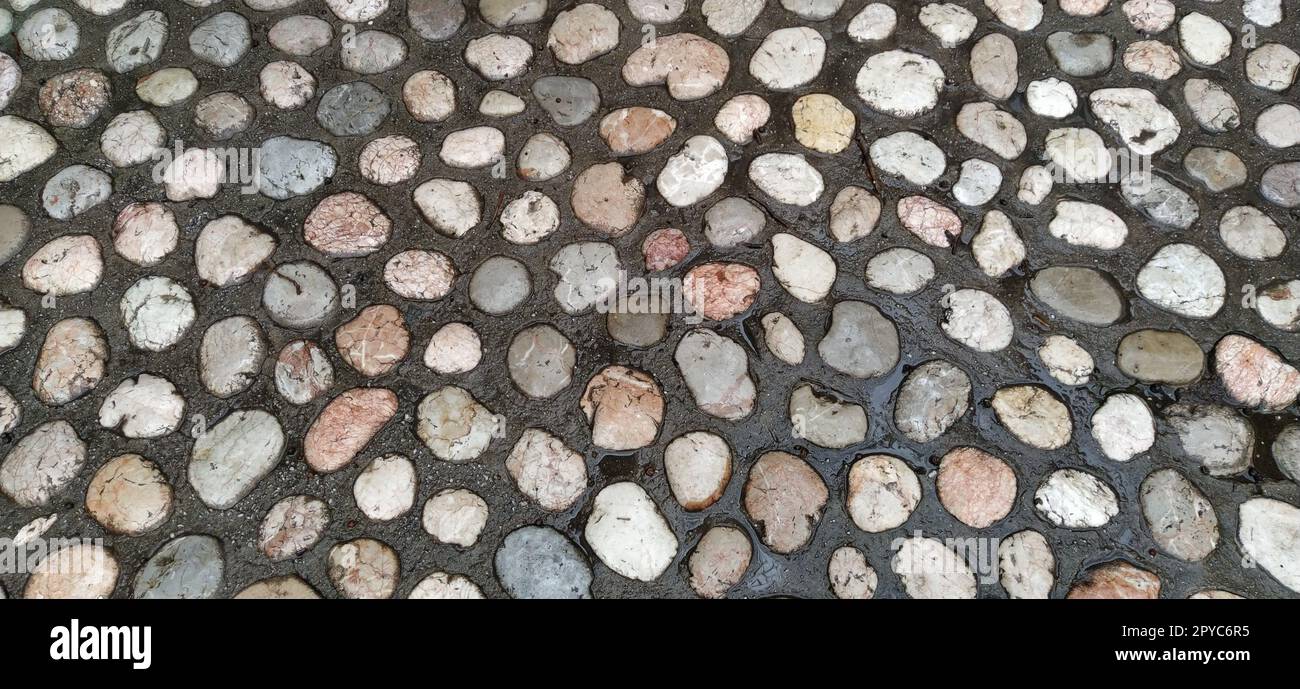 Paving stones made of round light stones similar to marble. Paved ...