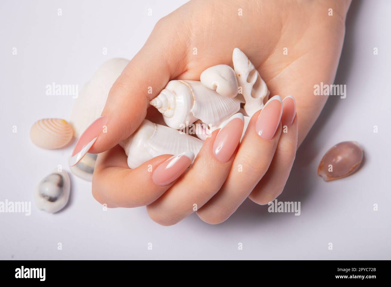 Hands with long nails with french manicure holding seashells Stock ...