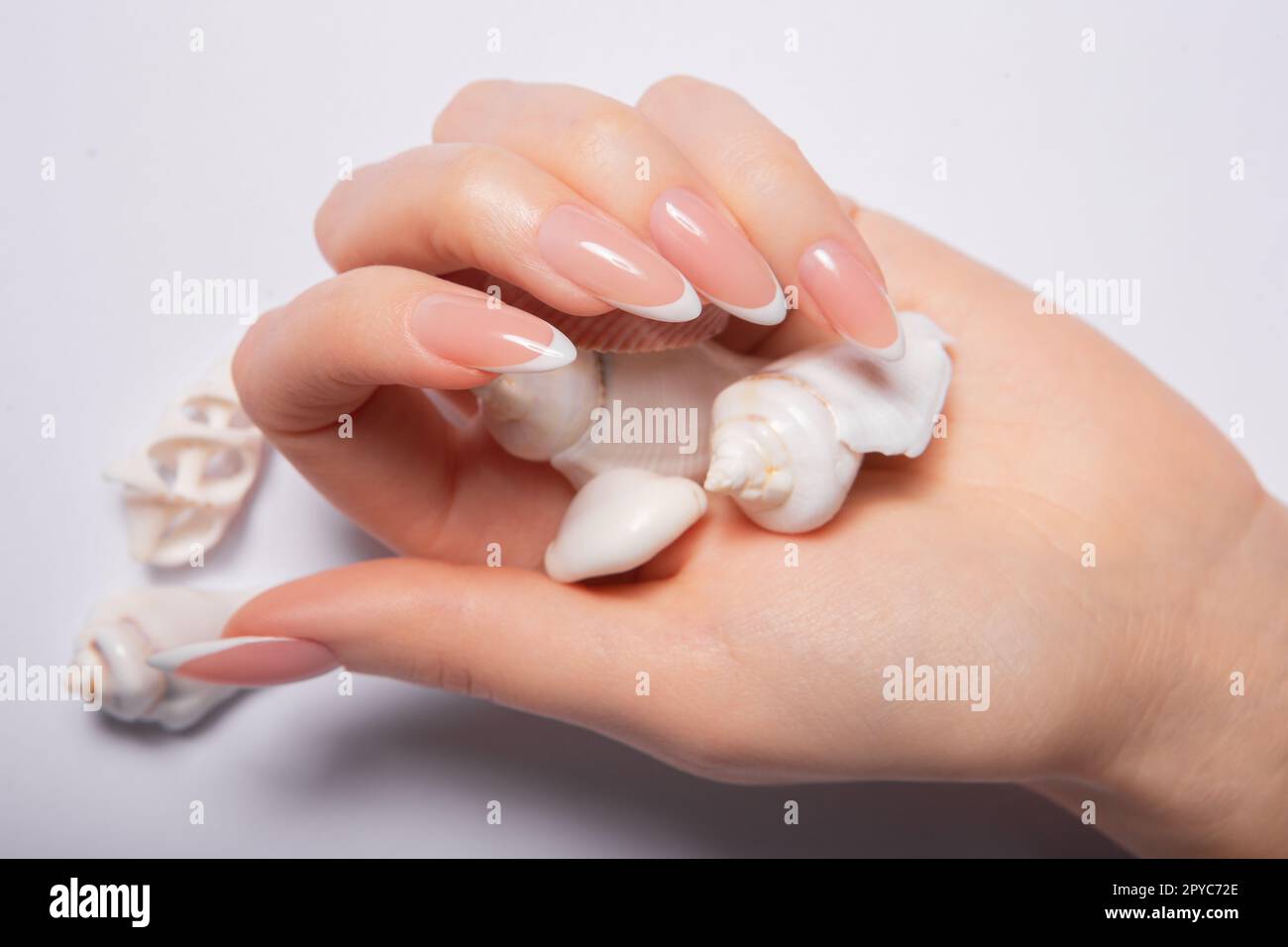 Hands with long nails with french manicure holding seashells Stock ...