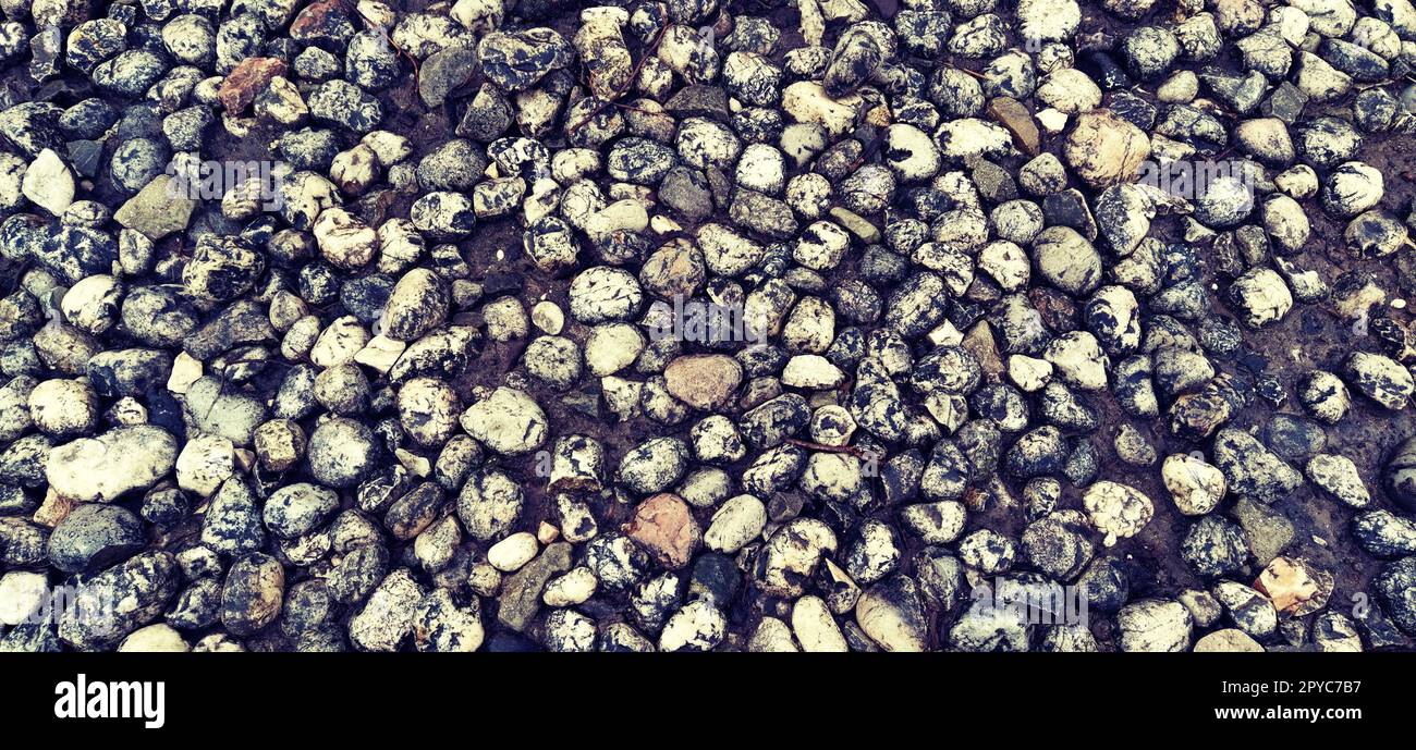 Beautiful natural round stones of bright, gray, contrasting colors. The ...