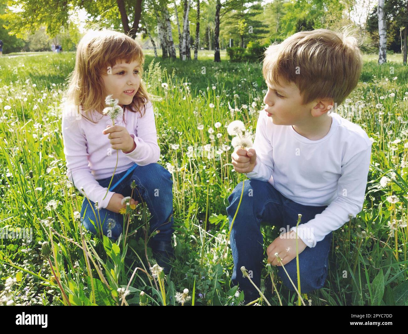 Boy and girl on the grass. Cute children pick meadow flowers and blow ...