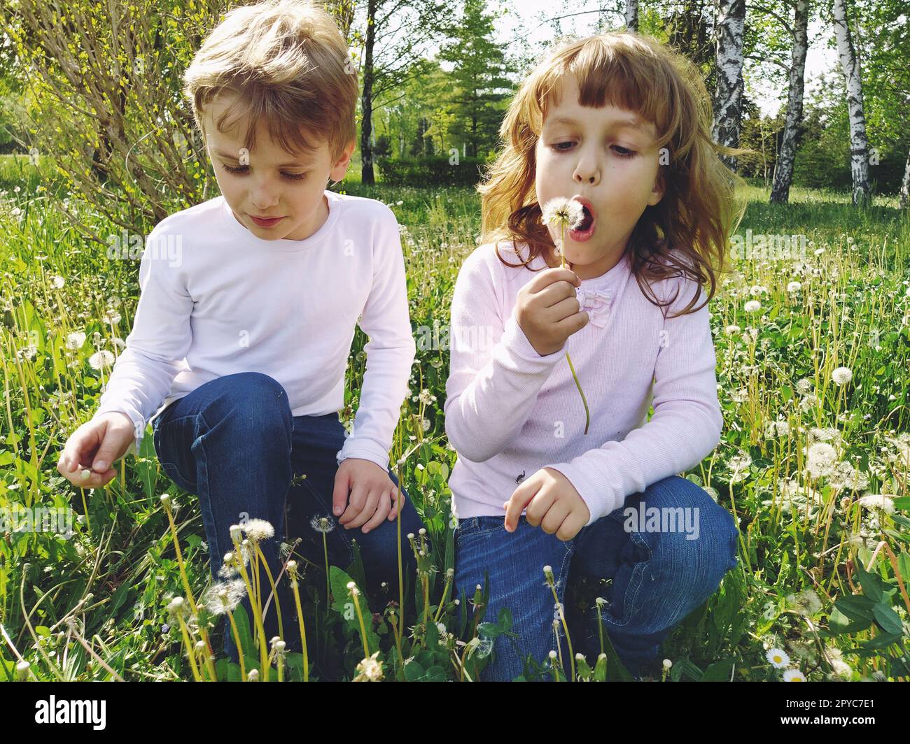 Boy and girl on the grass. Cute children pick meadow flowers and blow ...