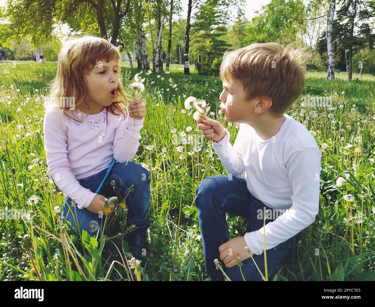 Boy and girl on the grass. Cute children pick meadow flowers and blow ...