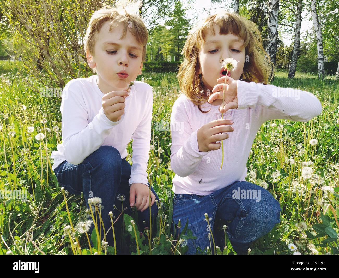 Boy and girl on the grass. Cute children pick meadow flowers and blow ...