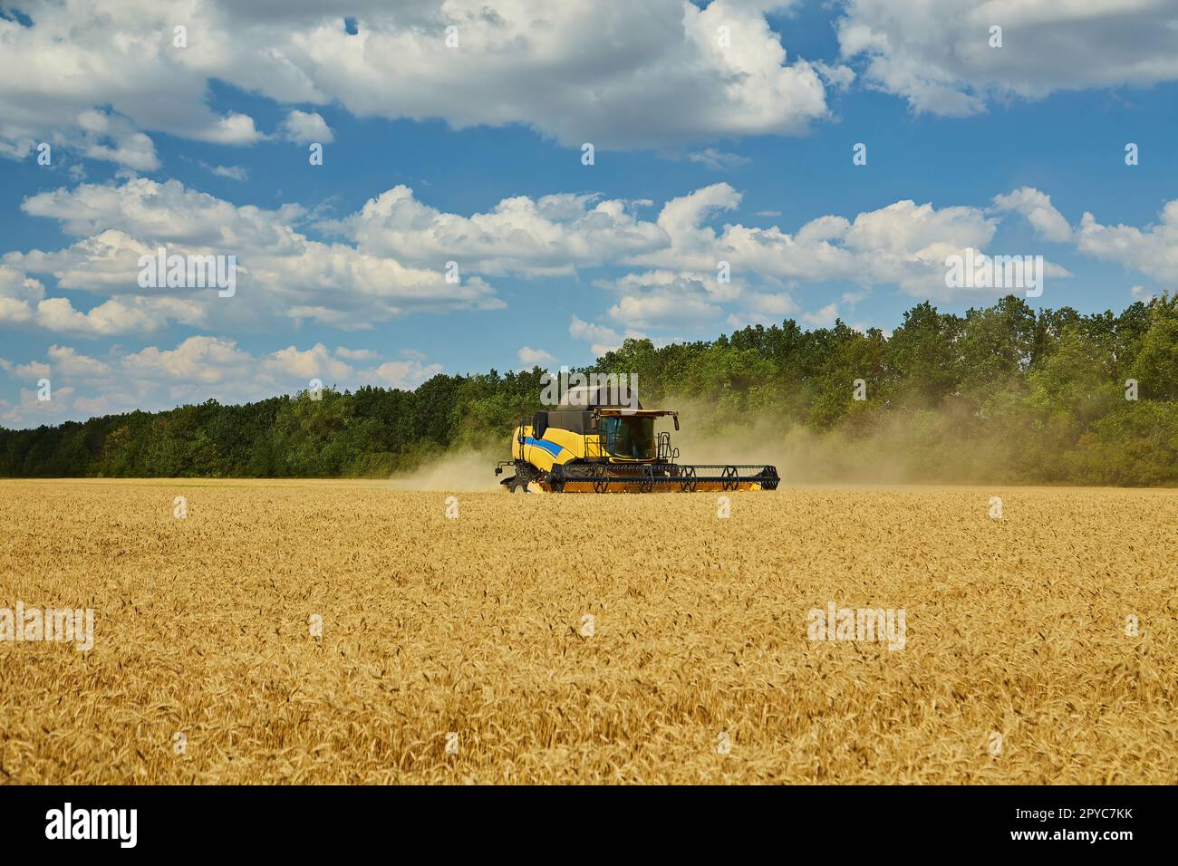 Combine harvester harvests ripe wheat. agriculture. Harvesting, rural ...