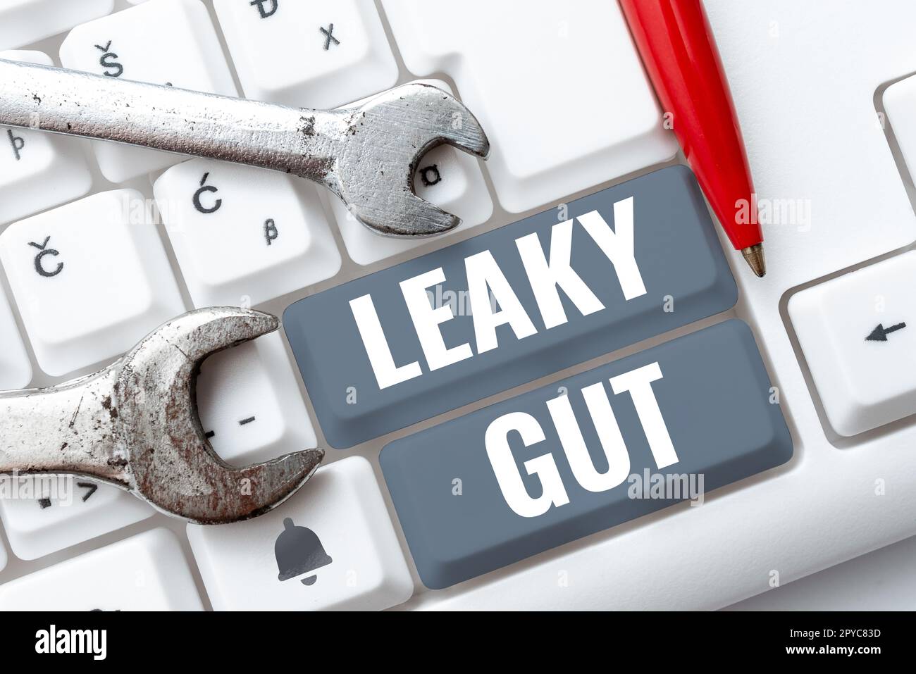 Writing displaying text Leaky Gut. Business showcase A condition in ... Writing displaying text Leaky Gut. Business showcase A condition in ...