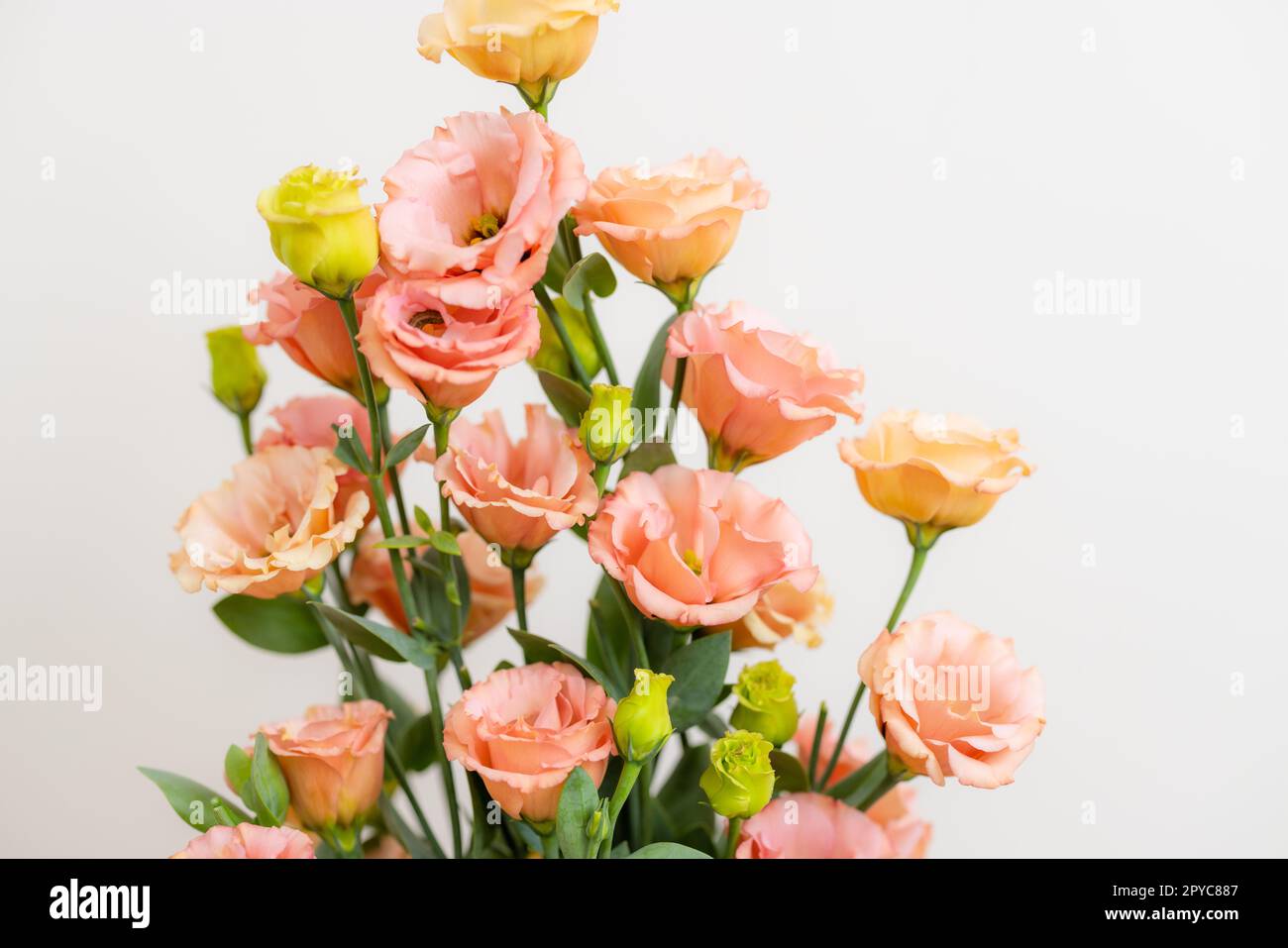 Bunch rose eustoma fresh hi-res stock photography and images - Alamy