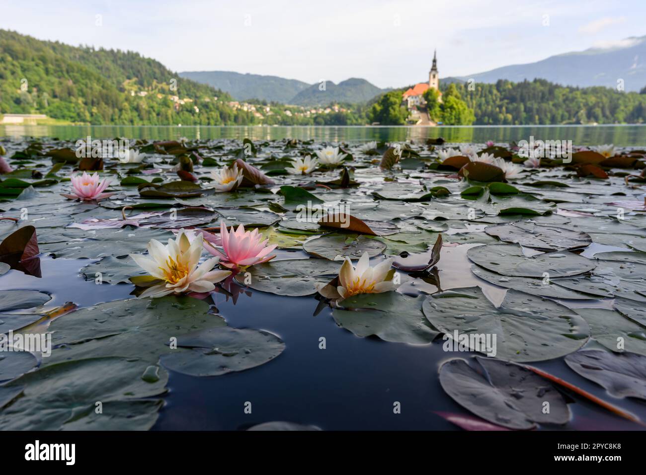 Church bled hi-res stock photography and images - Alamy
