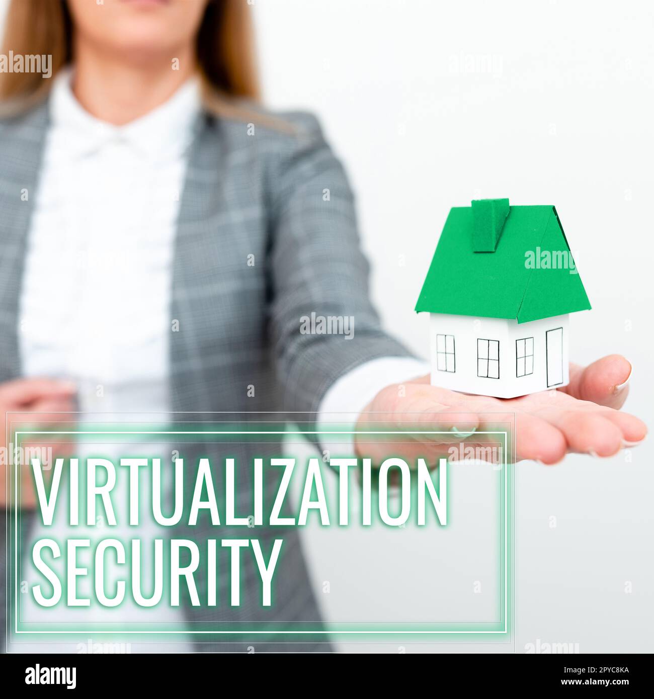 Conceptual Display Virtualization Security Business Approach Application Of Virtual Environment