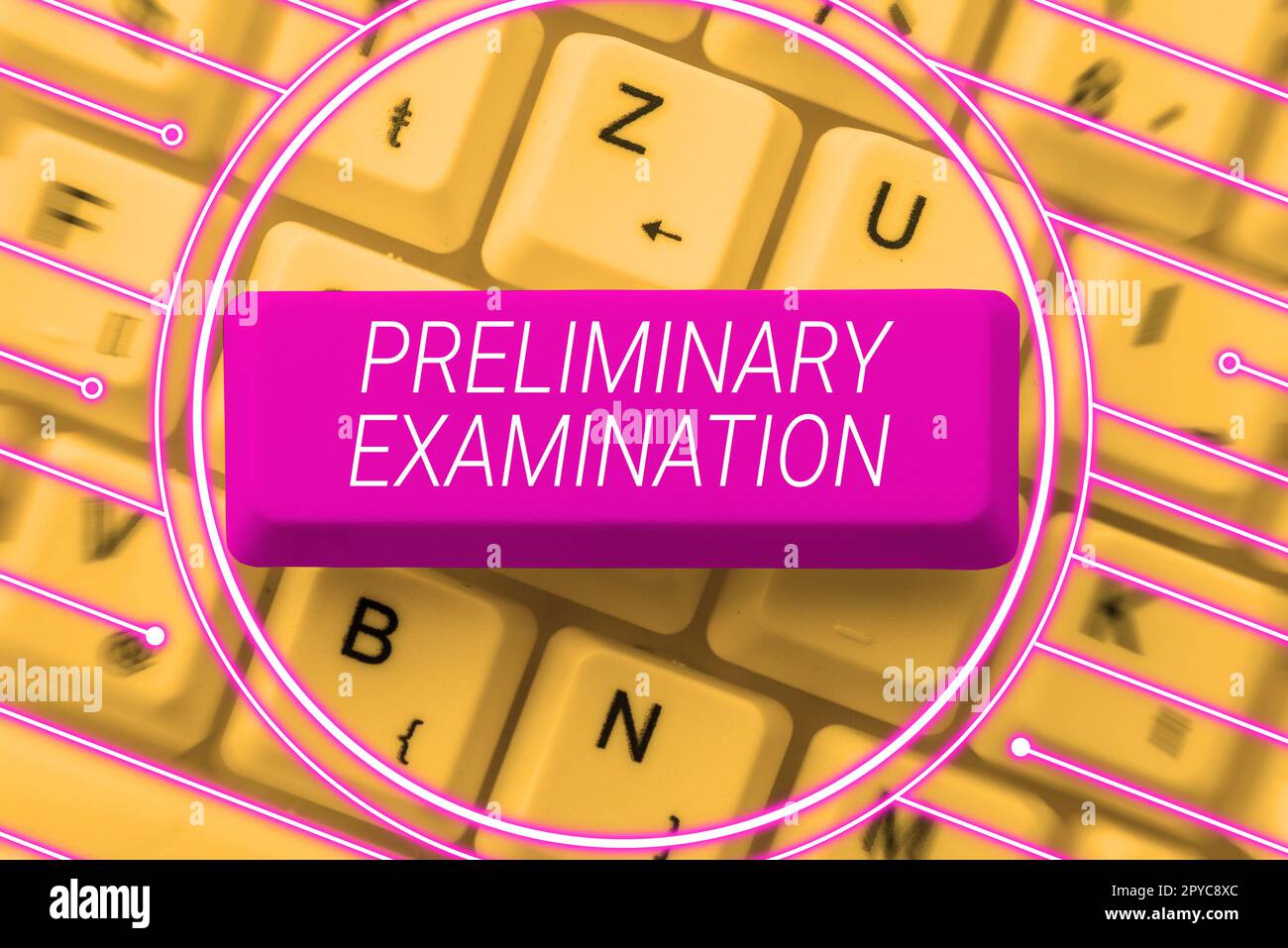 Handwriting text Preliminary Examination. Business overview taken ...