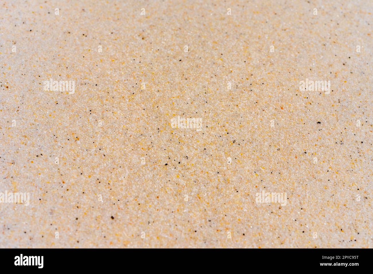 Macro close up sand texture. Background from fine sand. High quality ...