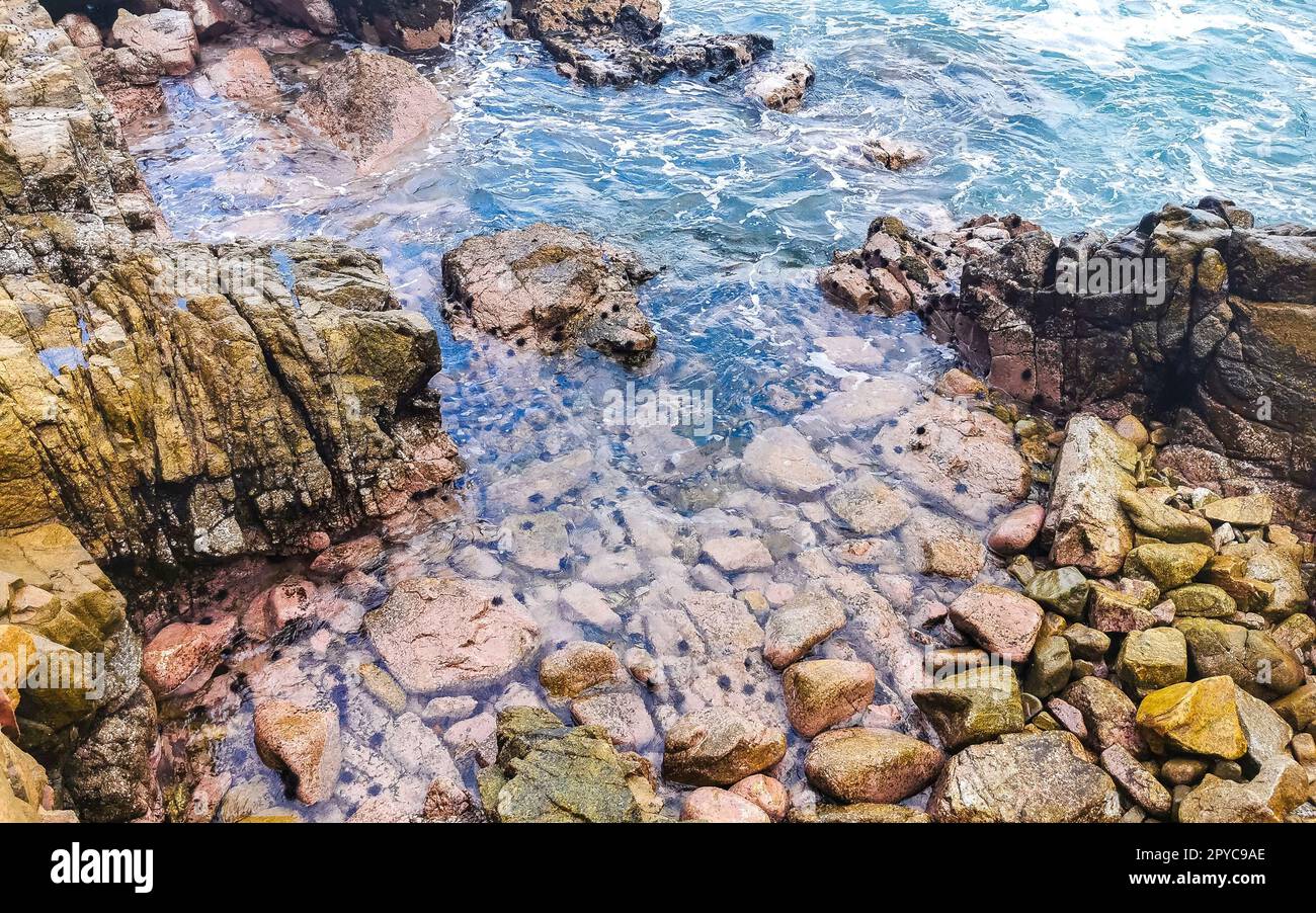 Rocks stones in water with sea urchins Puerto Escondido Mexico Stock ...