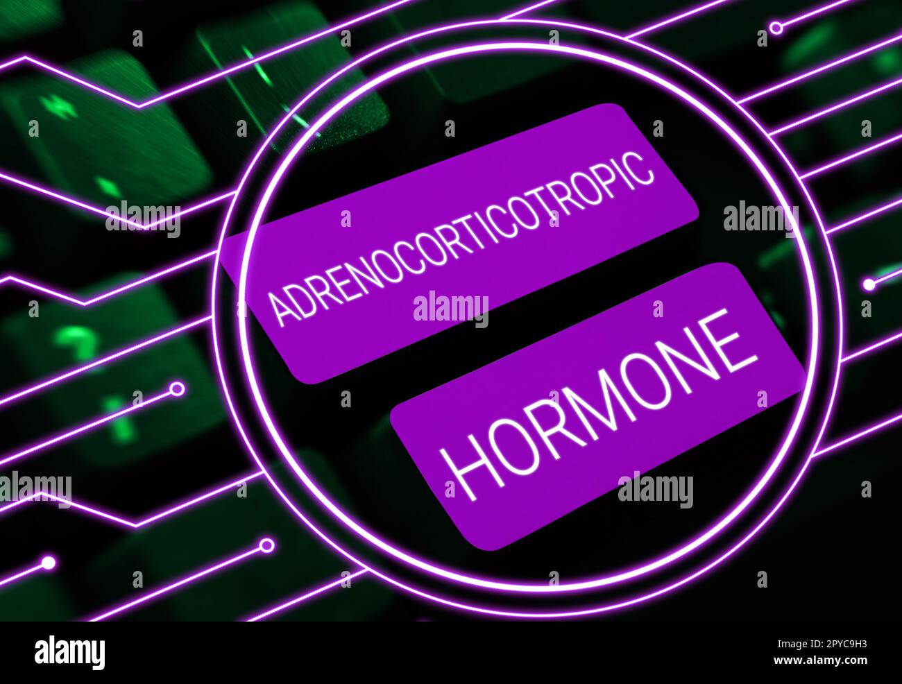 Inspiration showing sign Adrenocorticotropic Hormone. Word for hormone ...