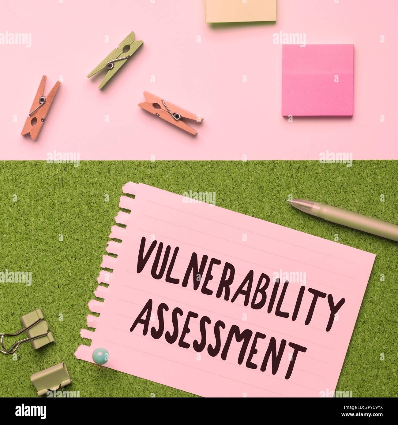 Conceptual display Vulnerability Assessment. Business overview State of ...